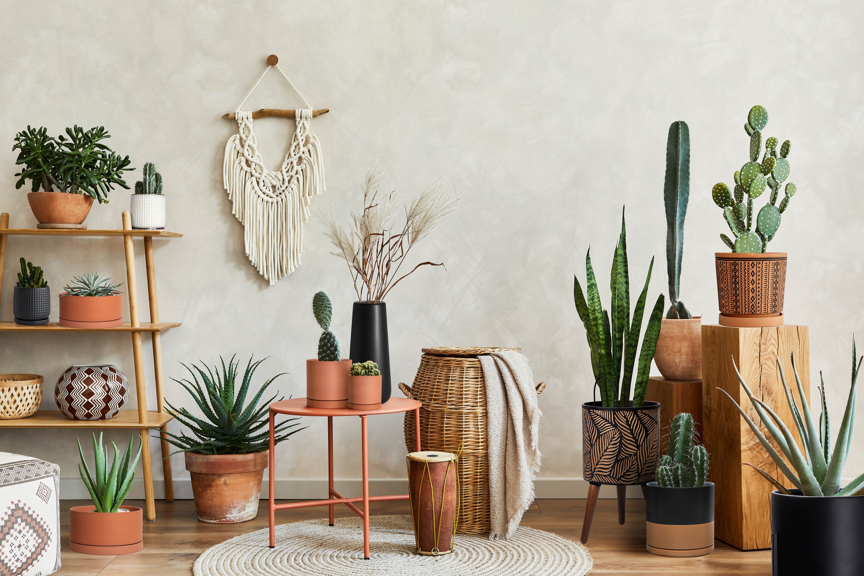 D'vine Dev - Home & Garden Planter Pots, Stands, Shelves and More ...