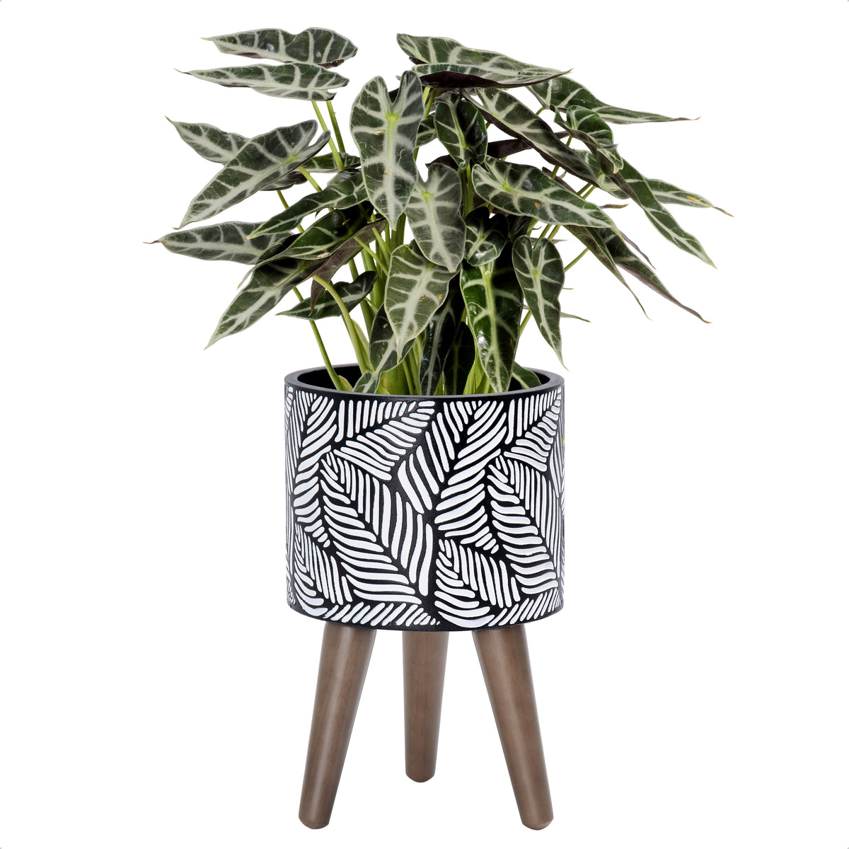 D'vine Dev | Planter Pot with Stand, Mid-Century Tall Plant Pot with ...